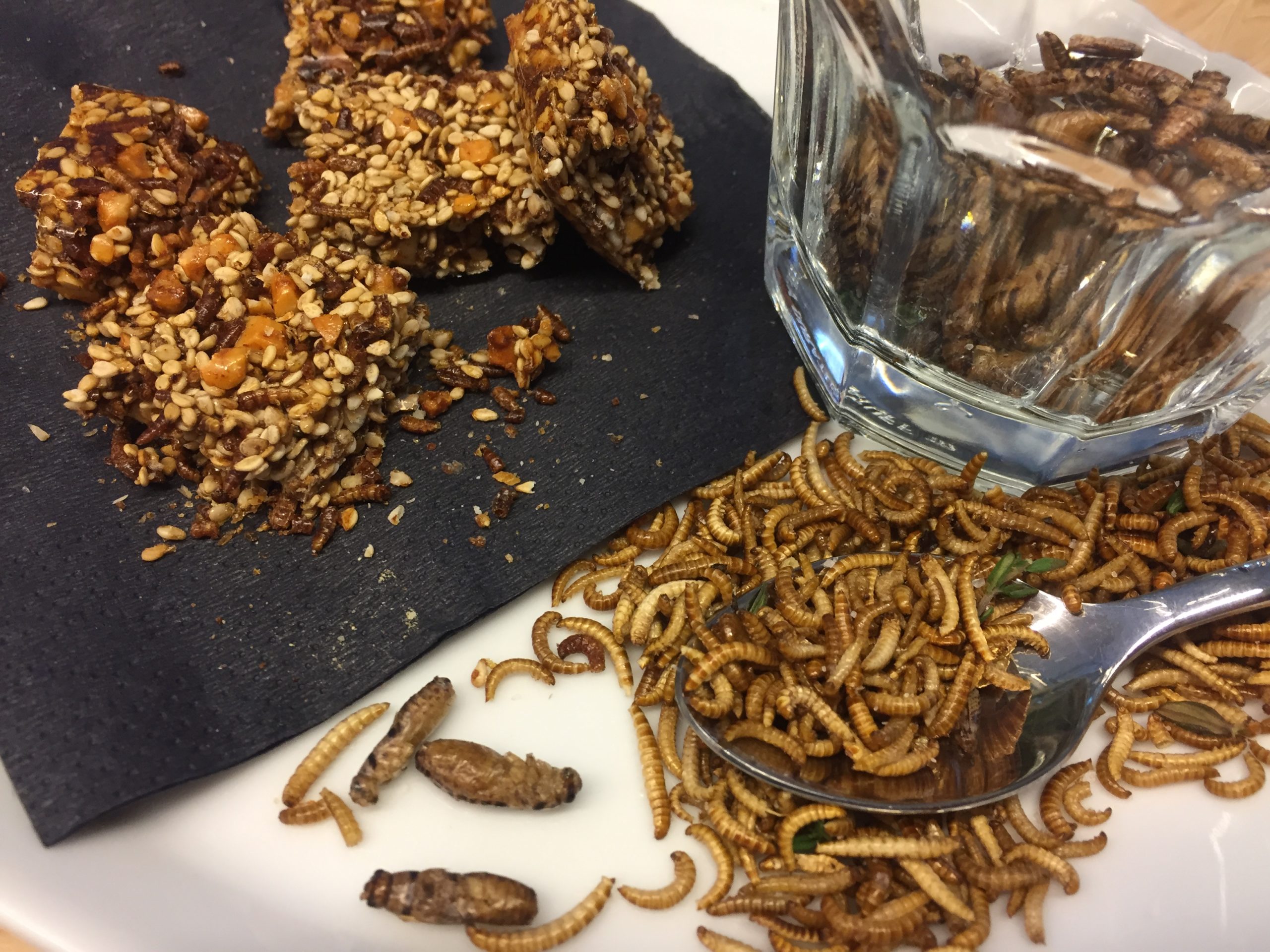 Packaging News, Sustainability & Innovation Updates | Wipak
